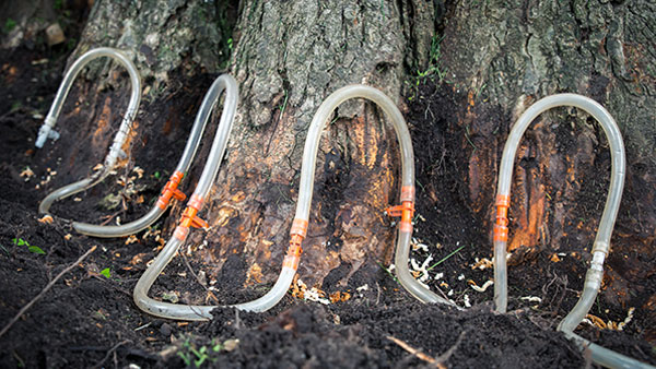 Manual Macro-Infusion w/ Hardware - Rainbow Ecoscience