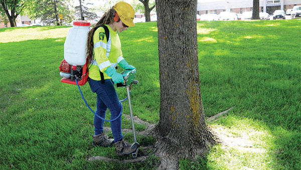 Motorized Backpack Sprayer (Maruyama) - Rainbow Ecoscience