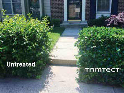 Growth Control Management Guide - Rainbow Ecoscience