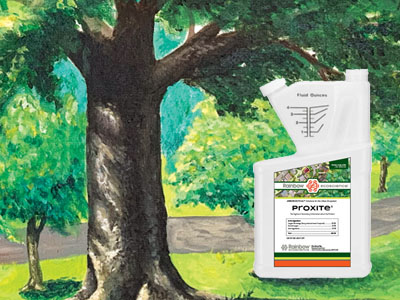 Rainbow Launches Proxite™ - Rainbow Ecoscience