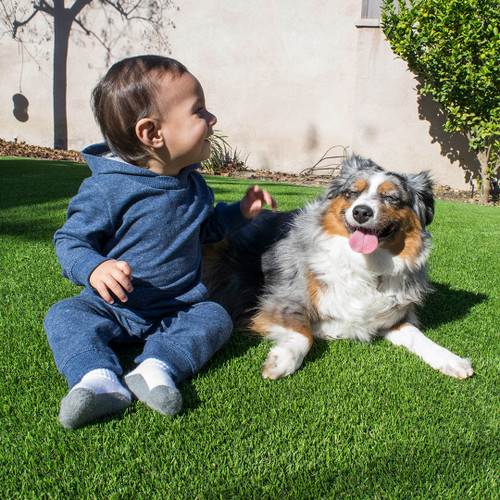 Smart Turf -Smart Pet Plus- The Synthetic Turf Co.