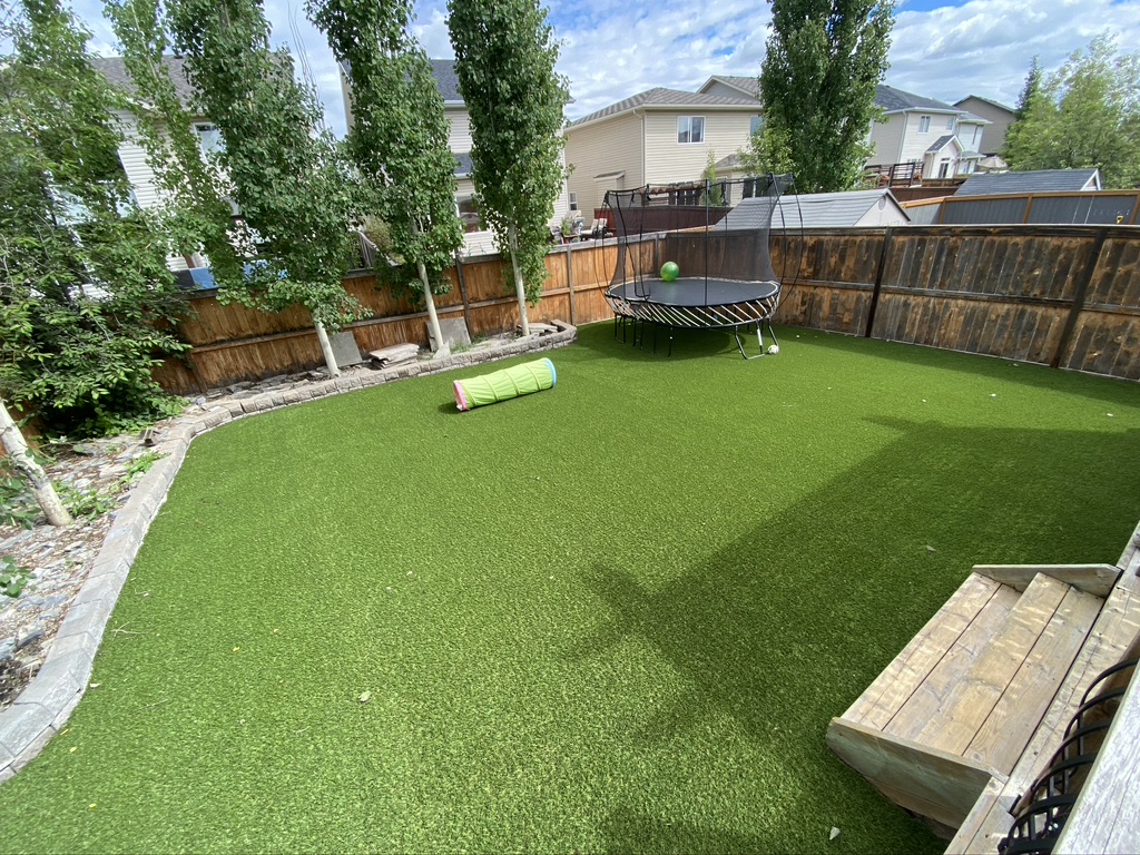 Voles, Moles & Gophers – Oh My! How Artificial Grass Deters Pesky Critters - The Synthetic Turf ...