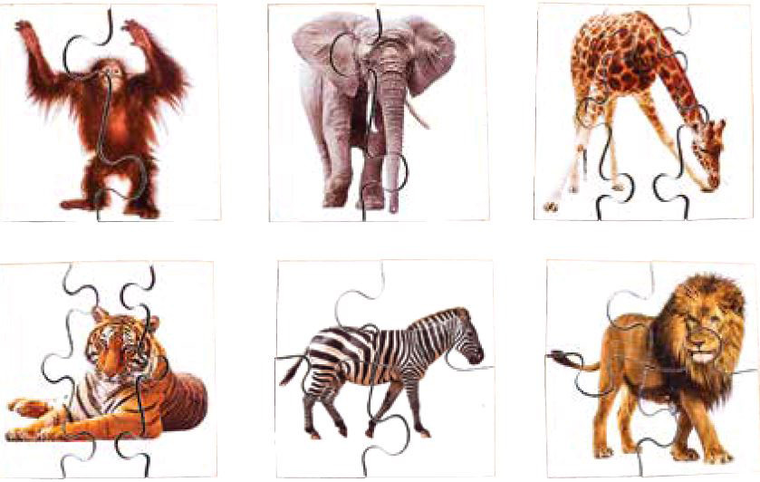 Wild Animals Puzzle Set - Every Educaid