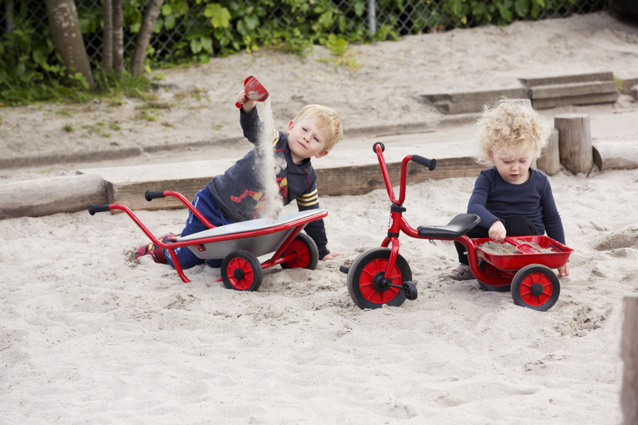 Tricycle with Tray - Every Educaid