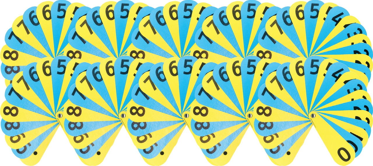 Number Fans Double Digits - Every Educaid