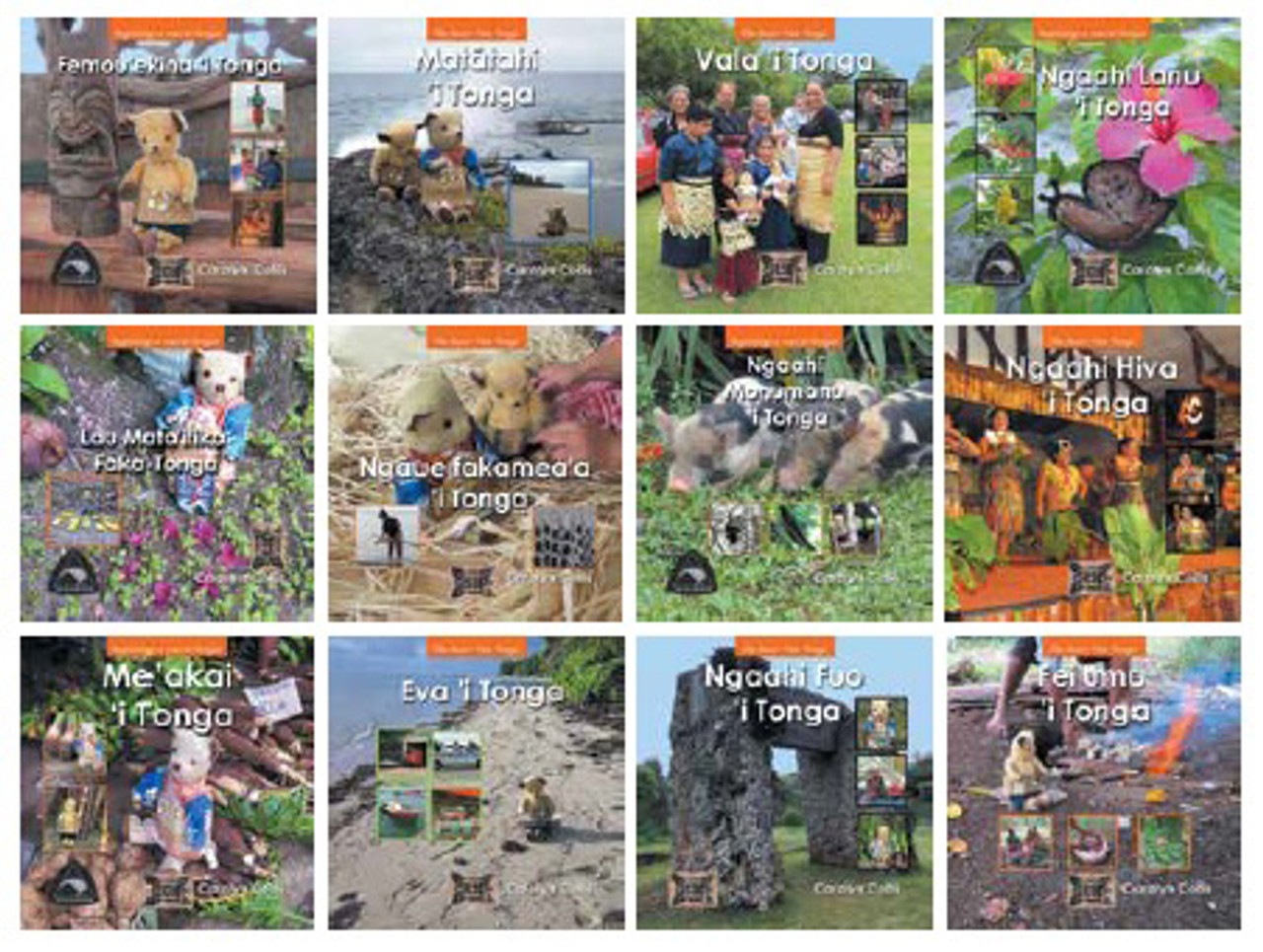 Learning about Tonga Book Set - Tongan text - Every Educaid