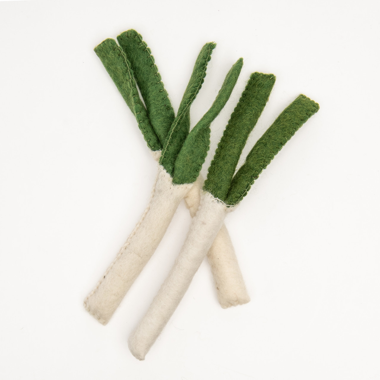 Leeks - Every Educaid