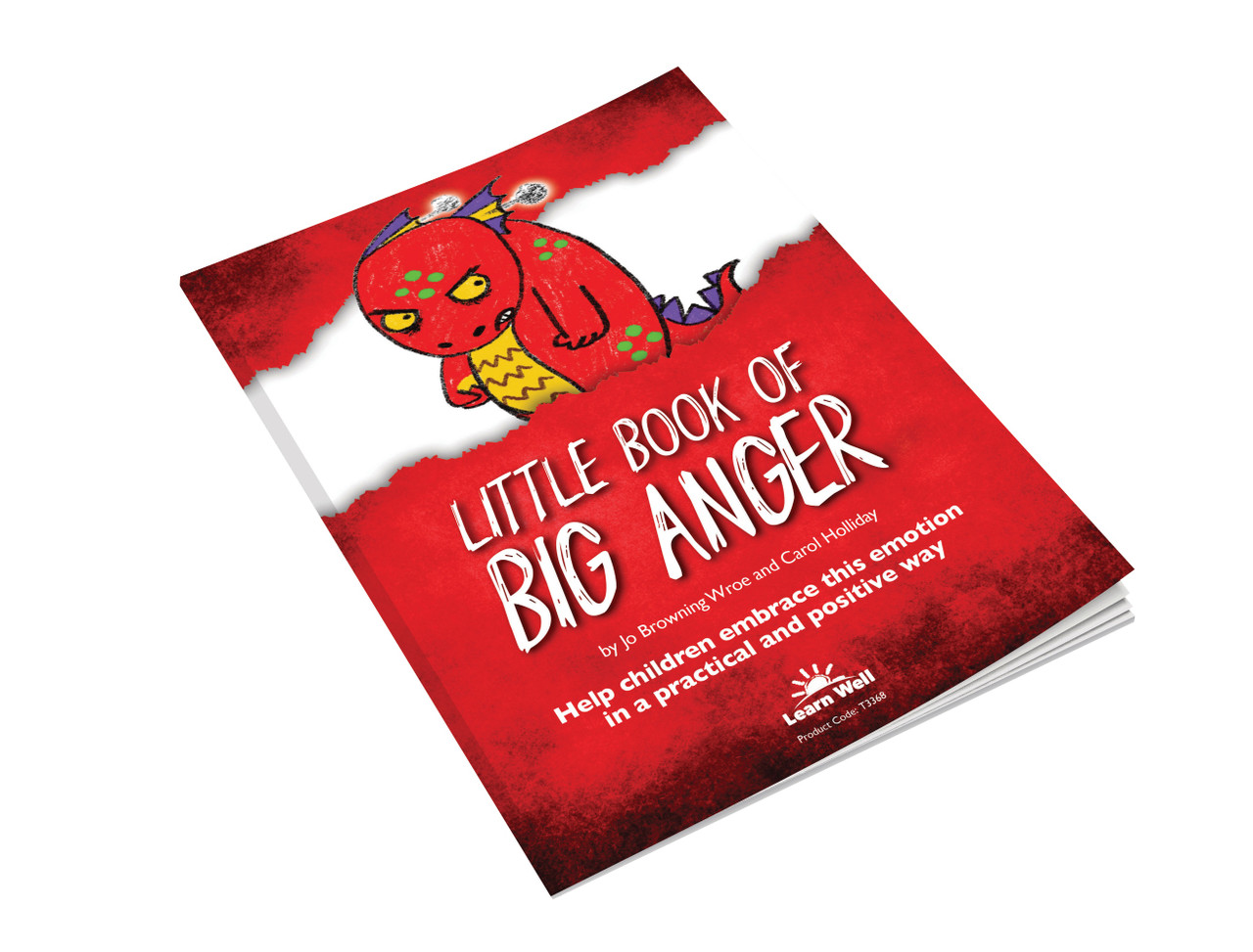 Little Book Of Big Anger - Every Educaid