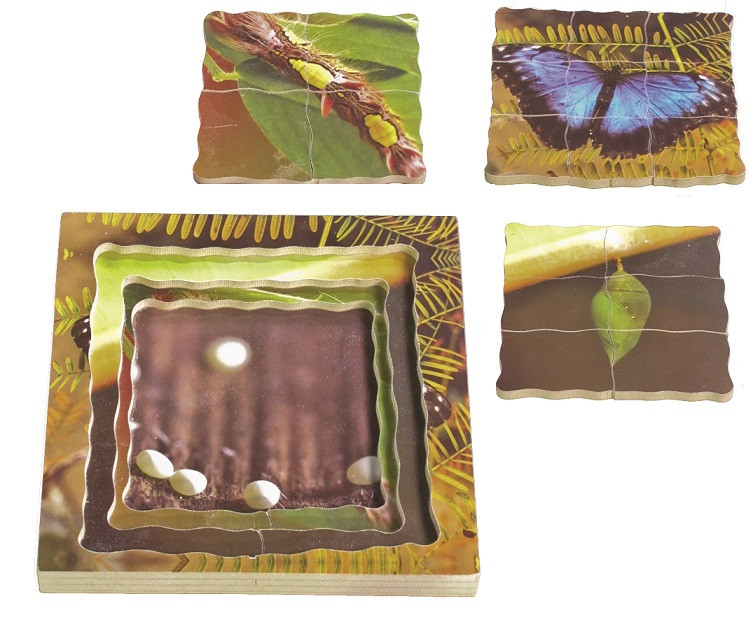 Butterfly Life Cycle Layered Puzzle - Every Educaid