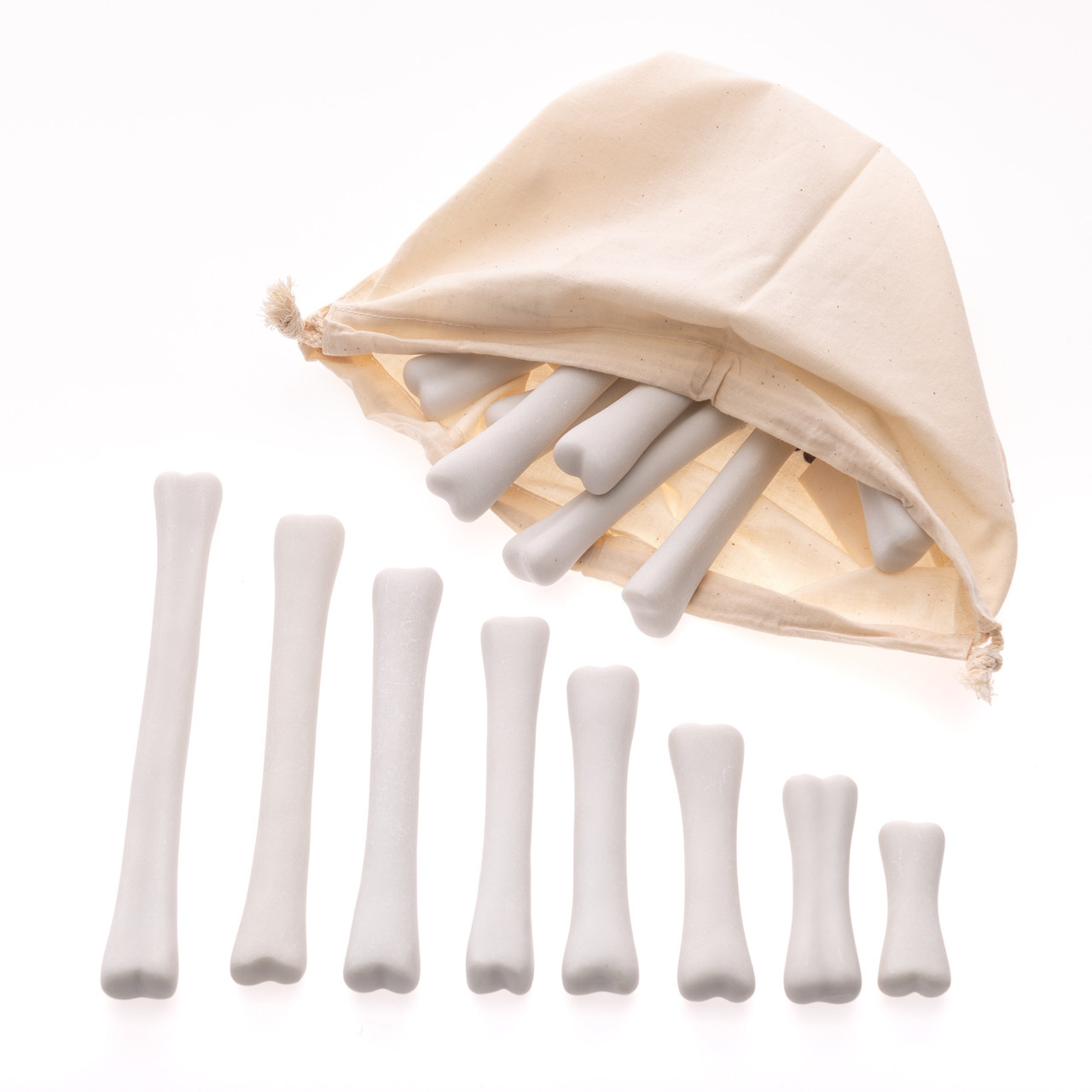 Dinosaur Bones Match and Measure - Every Educaid