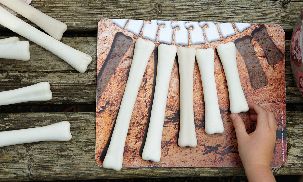 Dinosaur Bones Match and Measure Activity Cards - Every Educaid