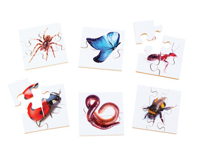 Minibeast Puzzle Set 1 - Every Educaid