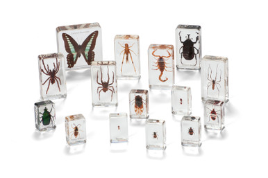 Mini Beasts Insects & Spiders Set - Every Educaid