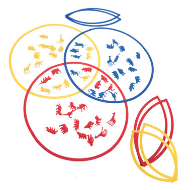 Sorting Circles - Large - Every Educaid