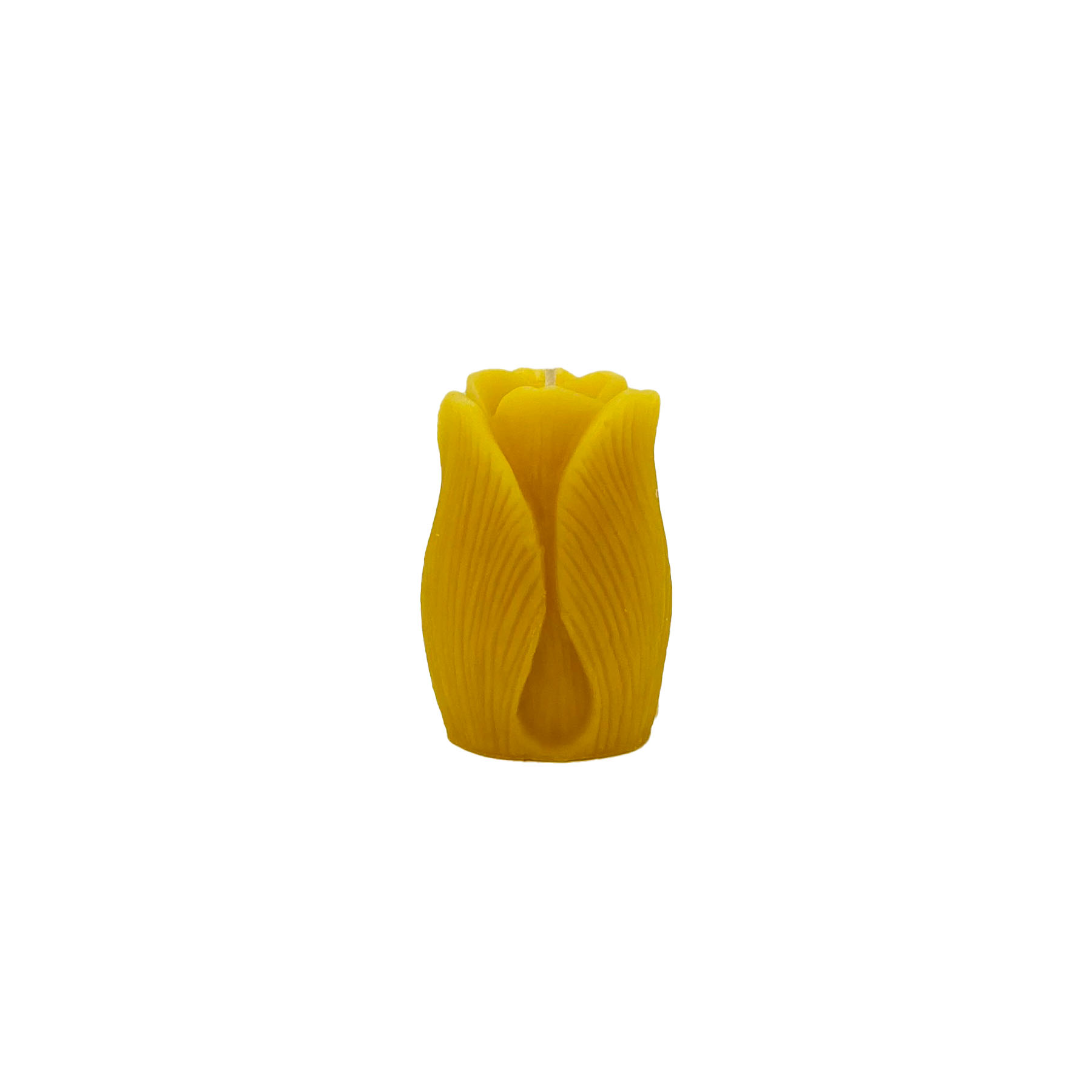 Tulip Votive Beeswax Candle| Ackroyd's Honey