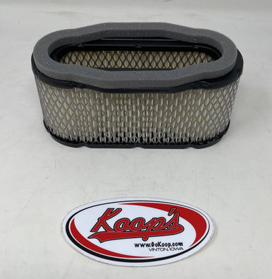Kawasaki Air Filter Element (11013-7027)