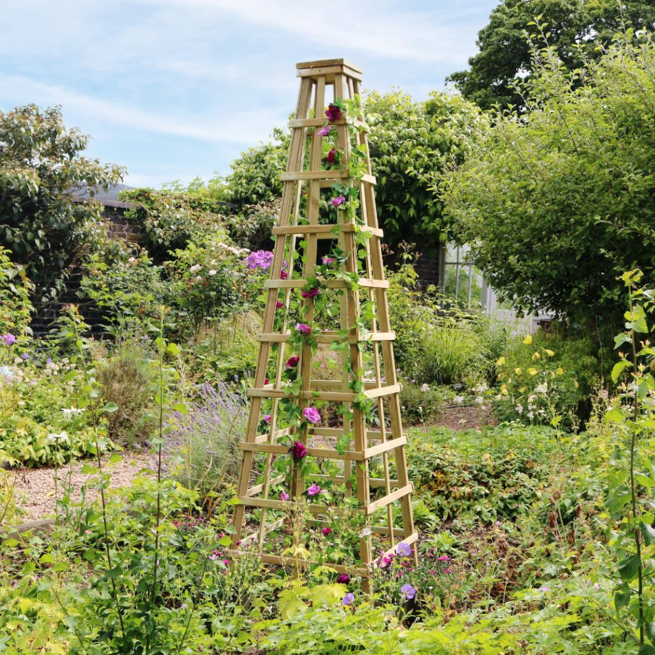 Climbing Plant Obelisks for Climbing Flowers, Veg & Plants