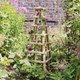 Climbing Plant Obelisks for Climbing Flowers, Veg & Plants