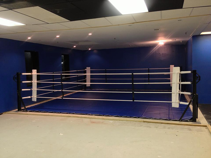PROGEAR Boxing Ring Floor Style - PROGEAR