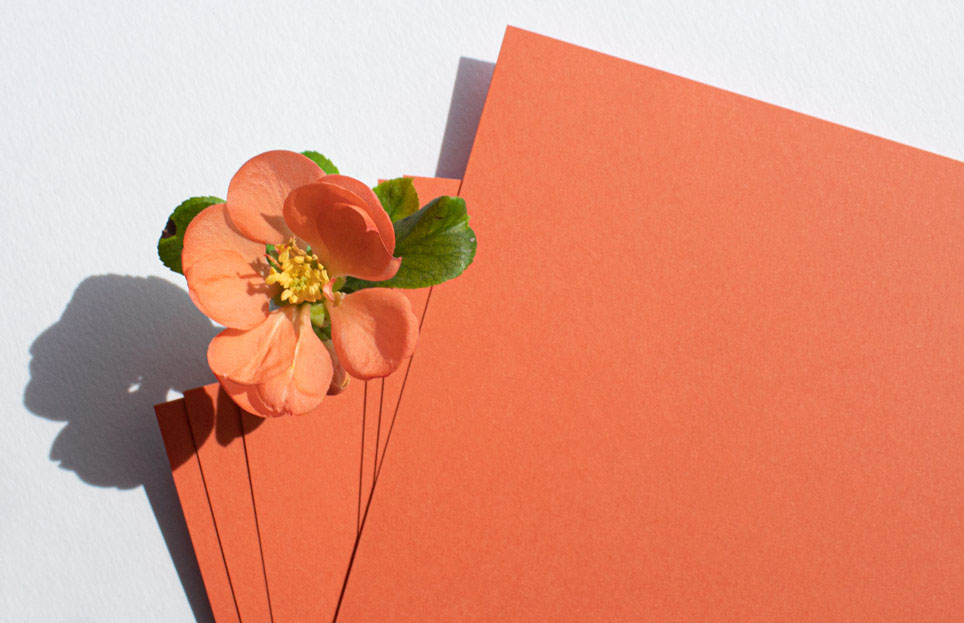 DIY Card Making Supplies & Invitation Supplies | The Paperbox