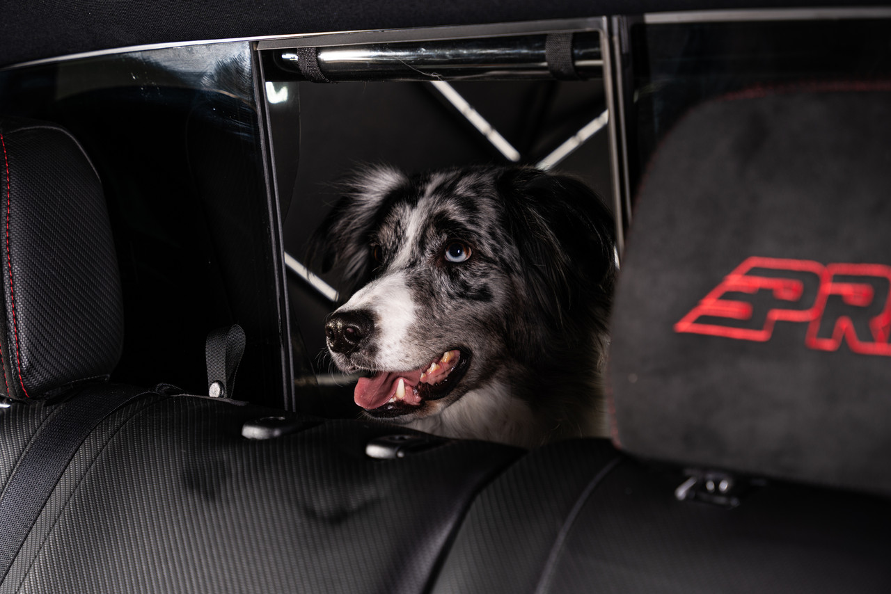 Soft Top Dog Window Kit – Clear Universal DIY Cutout for Truck Tops ...