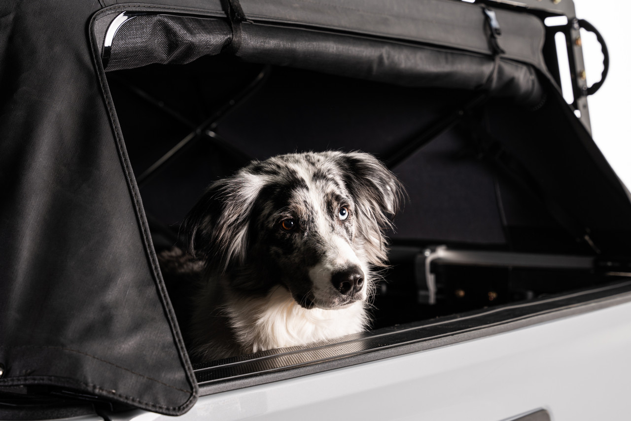 Soft Top Dog Window Kit – Clear Universal DIY Cutout for Truck Tops ...