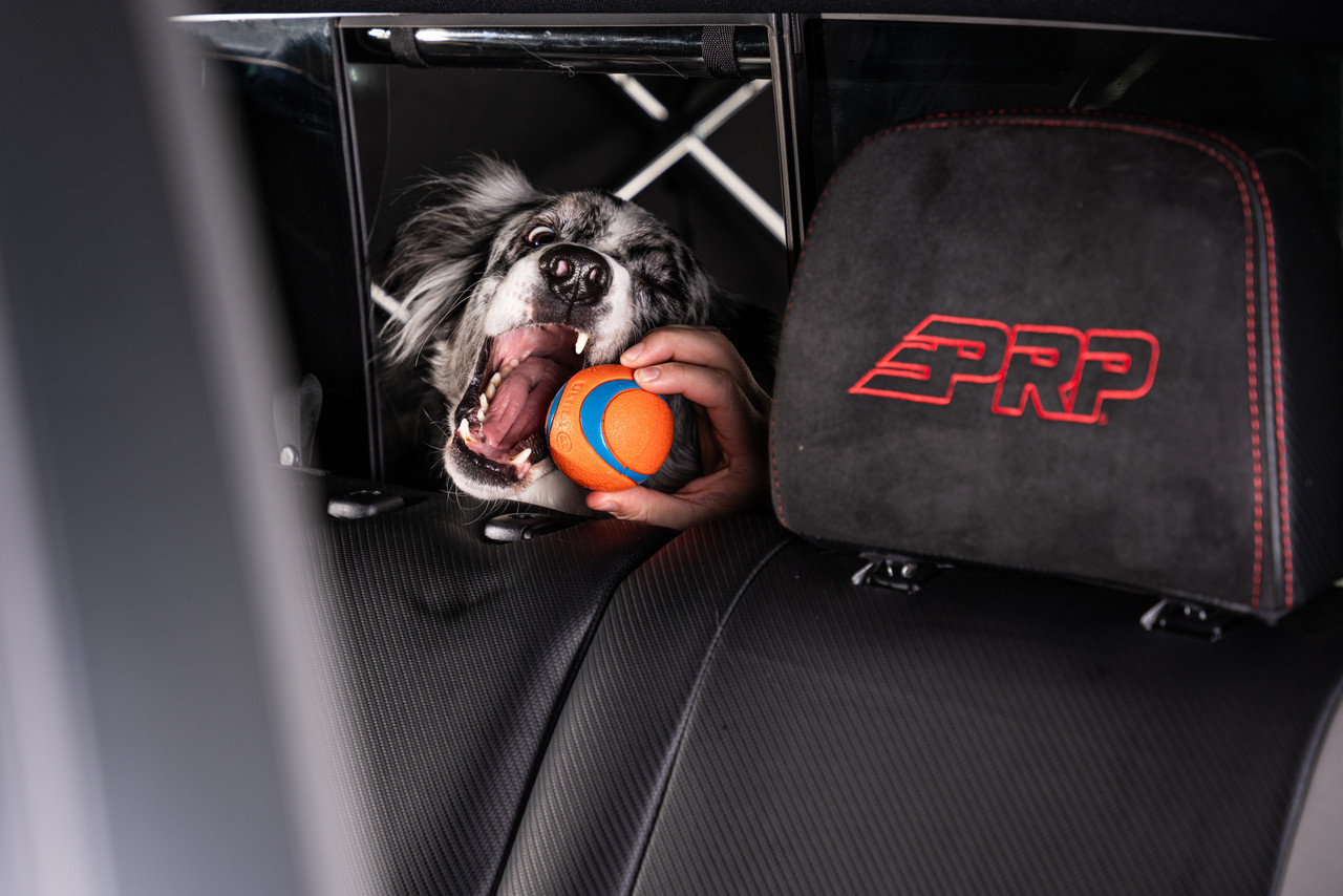 Soft Top Dog Window Kit – Clear Universal DIY Cutout for Truck Tops ...