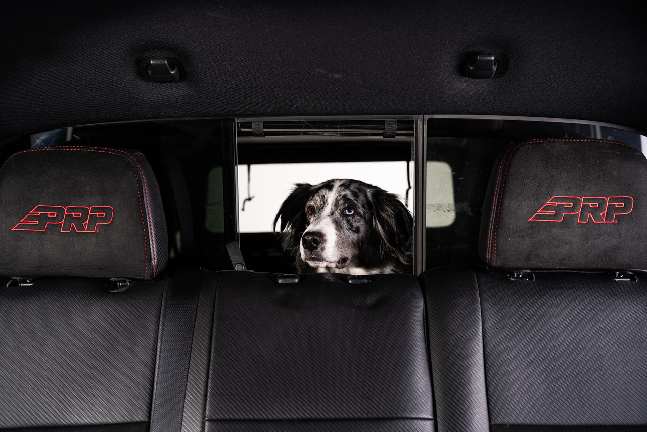 Soft Top Dog Window Kit – Clear Universal DIY Cutout for Truck Tops ...