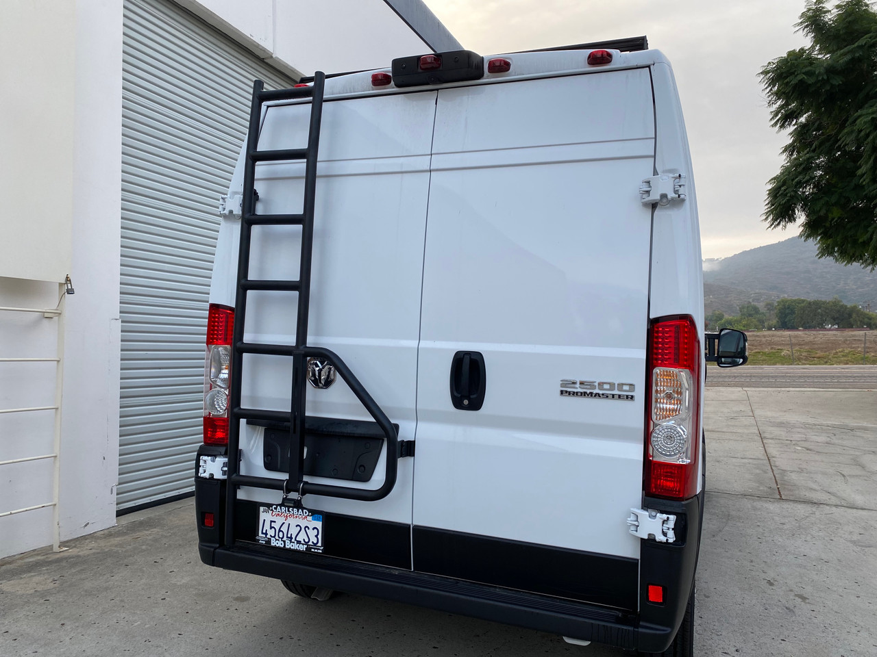 Helpful Rear Door Ladder for Dodge Promaster