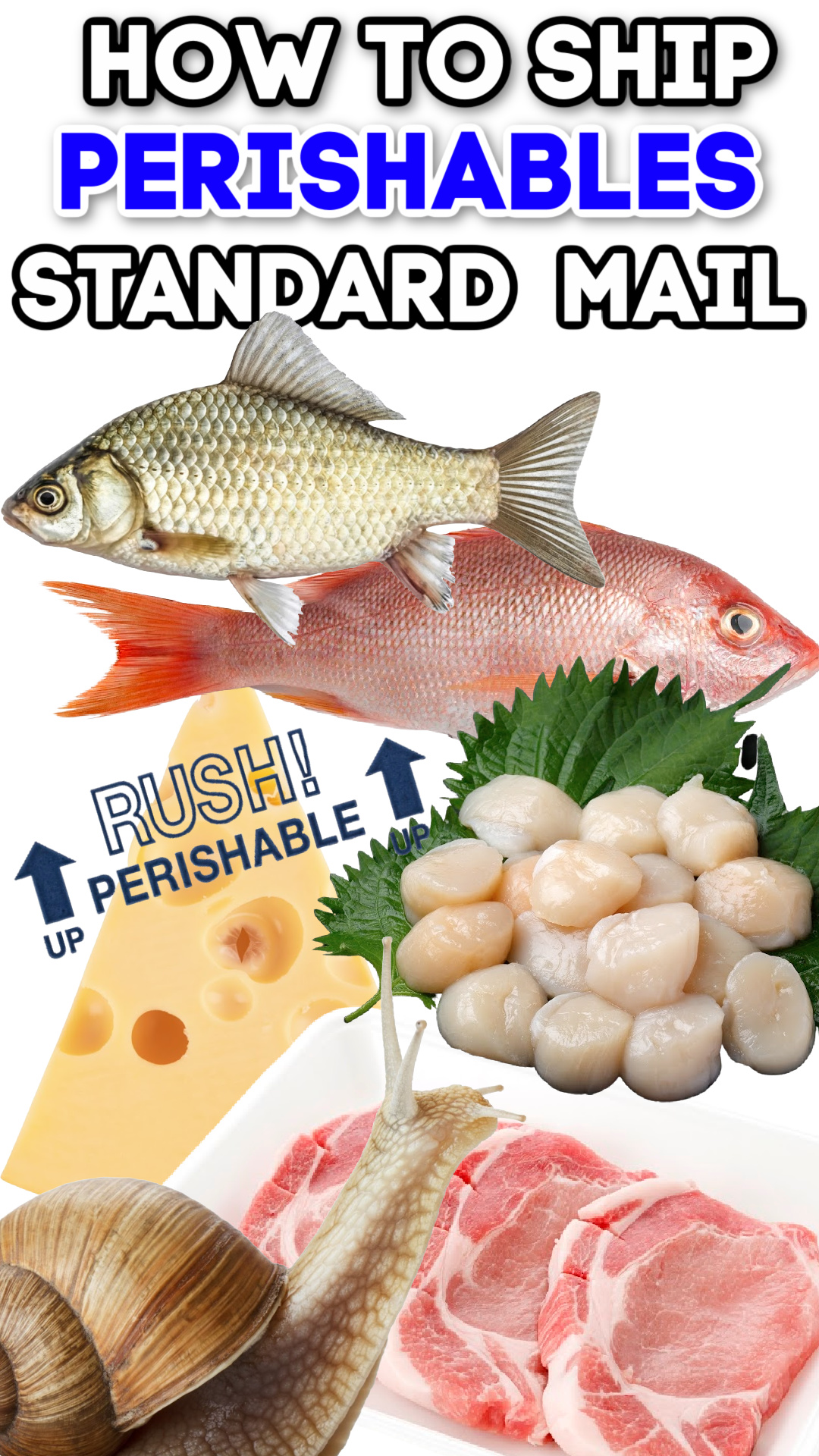 How to Ship PERISHABLES That Need to Stay Cold / Warm (Fish! Live Fish ...