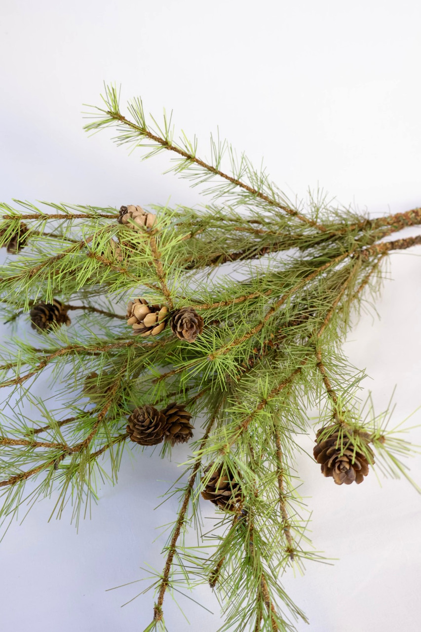 Set Of 3 - Cypress Pine Spray With Cones