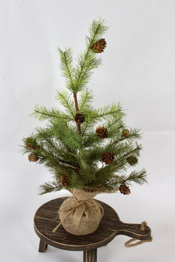 18" Greenup Pine Tree With Cones - The Shabby Tree
