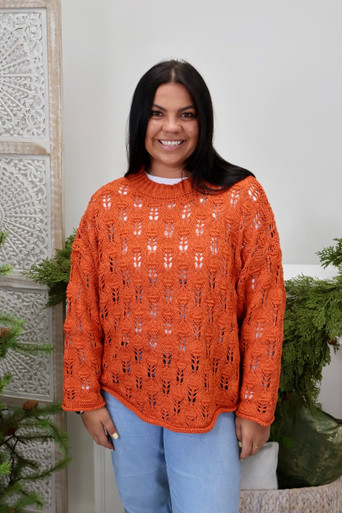 Autumn Lace Knit Sweater *FINAL SALE*