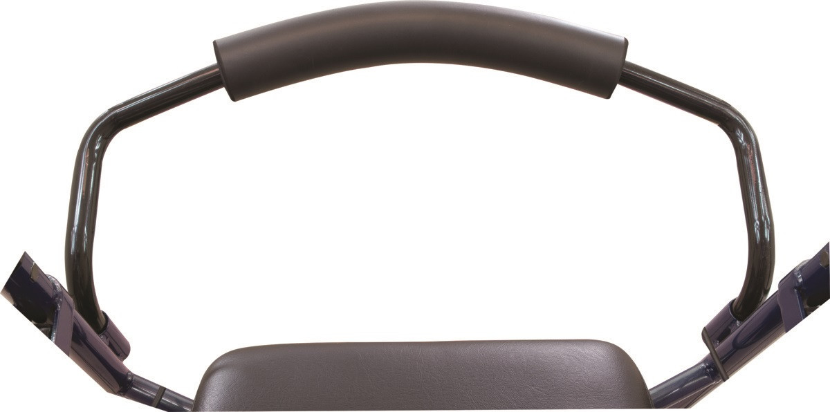 Probasics Economy Steel Rollator RLS6