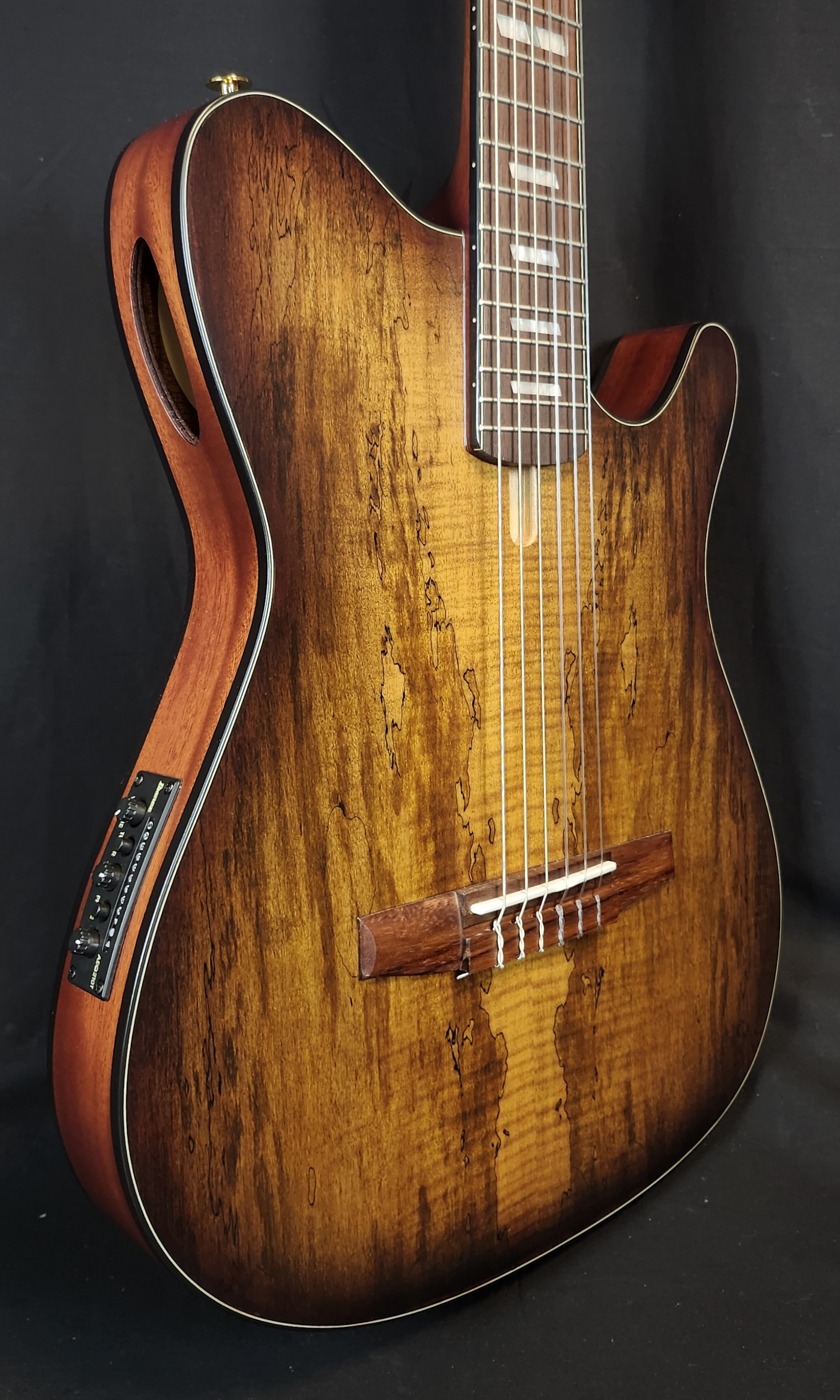Ibanez FRH20SMN Nylon Acoustic Electric Guitar