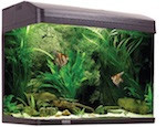 Aquatic - Aqua One - Aquarium Parts - AquaStyle Series - AquaStyle 620 ...