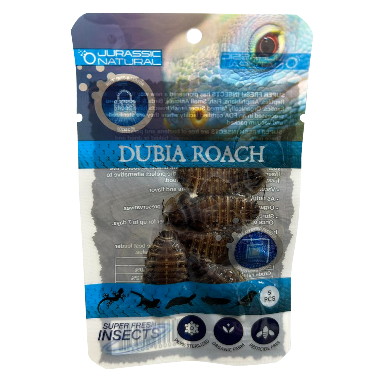 Jurassic Natural Superfresh Dubia Roach 5pc