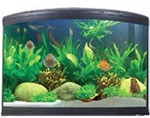 Aquatic - Aqua One - Aquarium Parts - UFO Series - UFO 700 - Page 3 ...