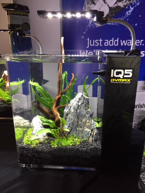 Dymax IQ5 Acrylic Aquarium Purple Amethyst - 13L (DM008)