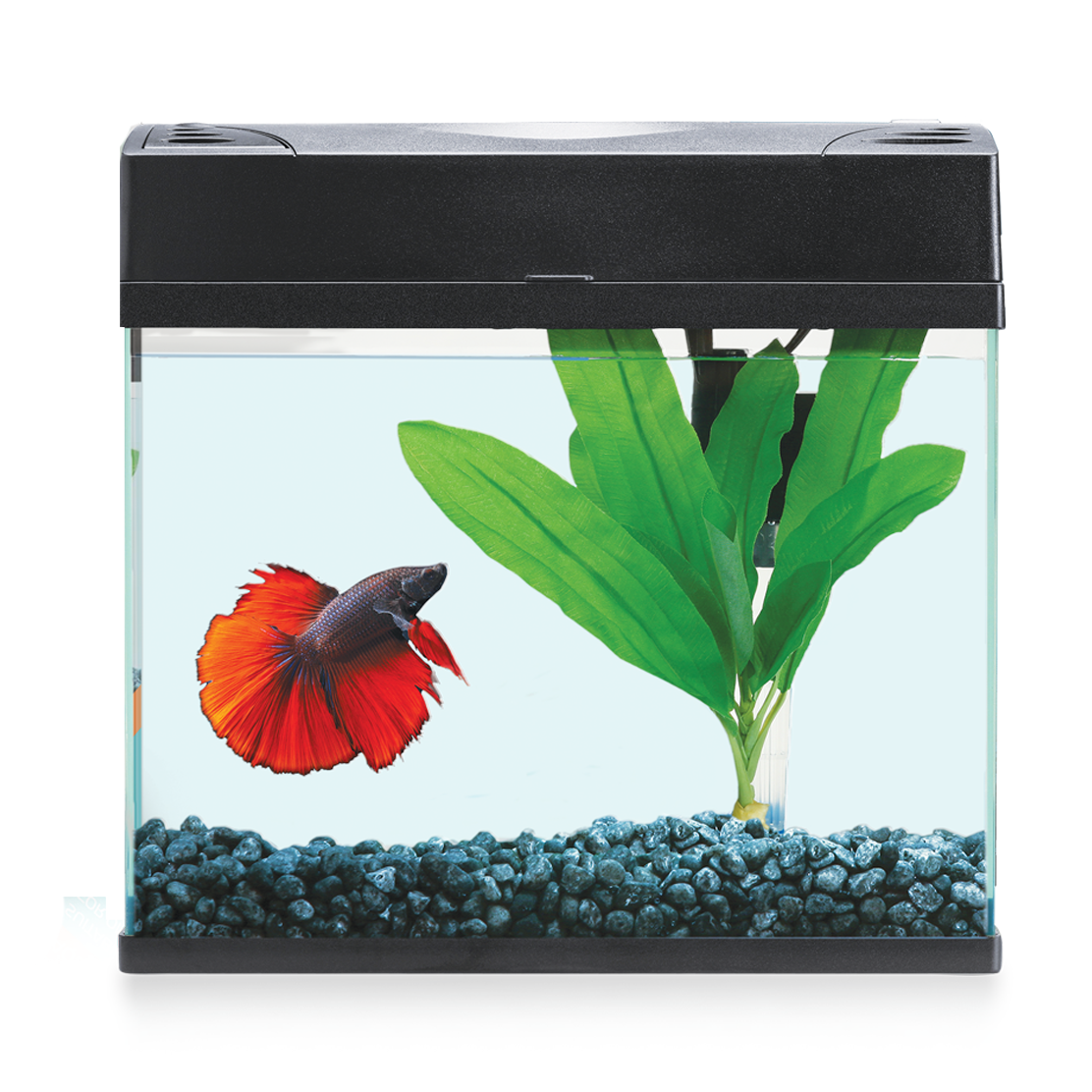 Aquatic - Blue Planet - Aquariums - Betta Plus LED - Aquarium Spare Parts