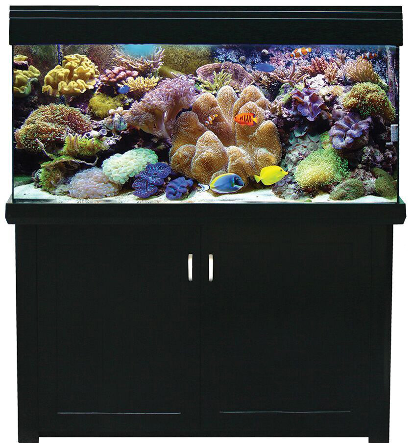 Aquatic - Aqua One - Aquarium Parts - AquaReef - AquaReef Series 1 ...