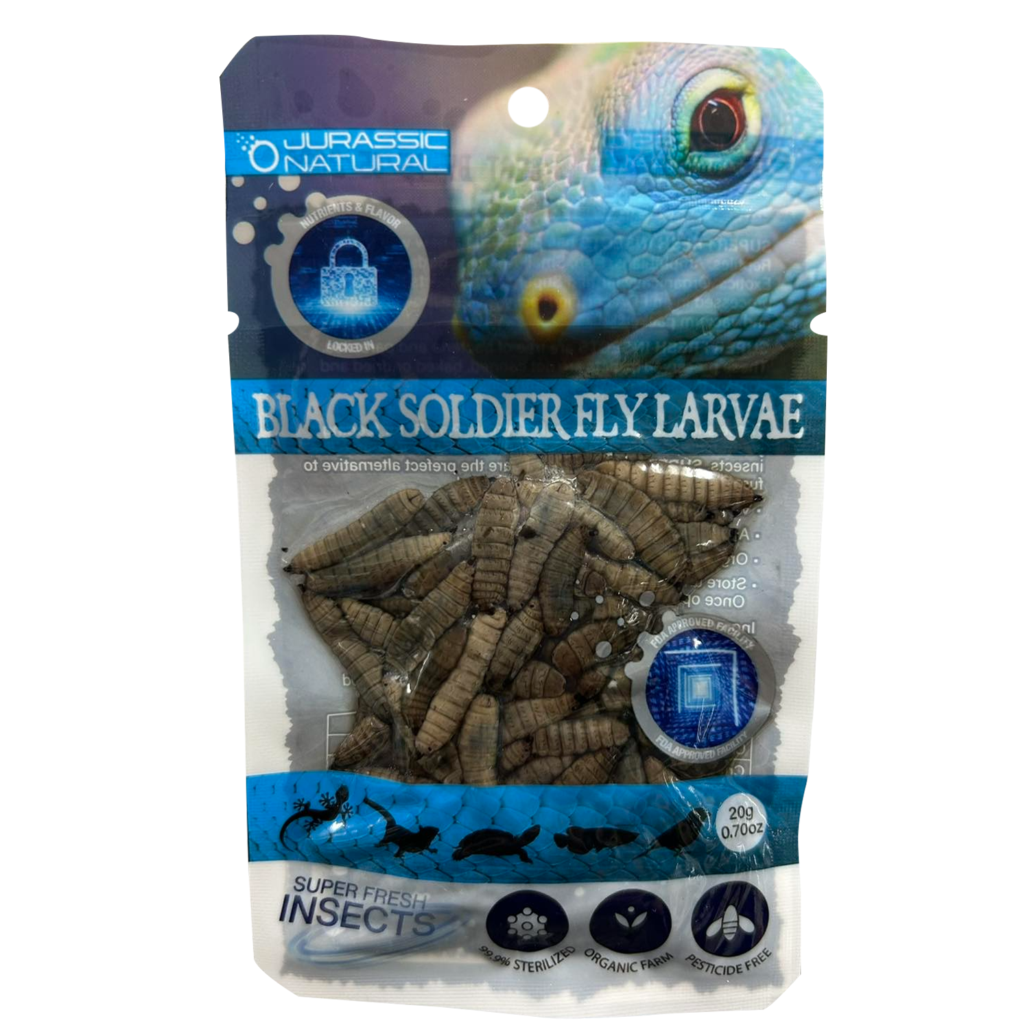 Jurassic Natural Superfresh Black Soldier Fly Larvae 20g