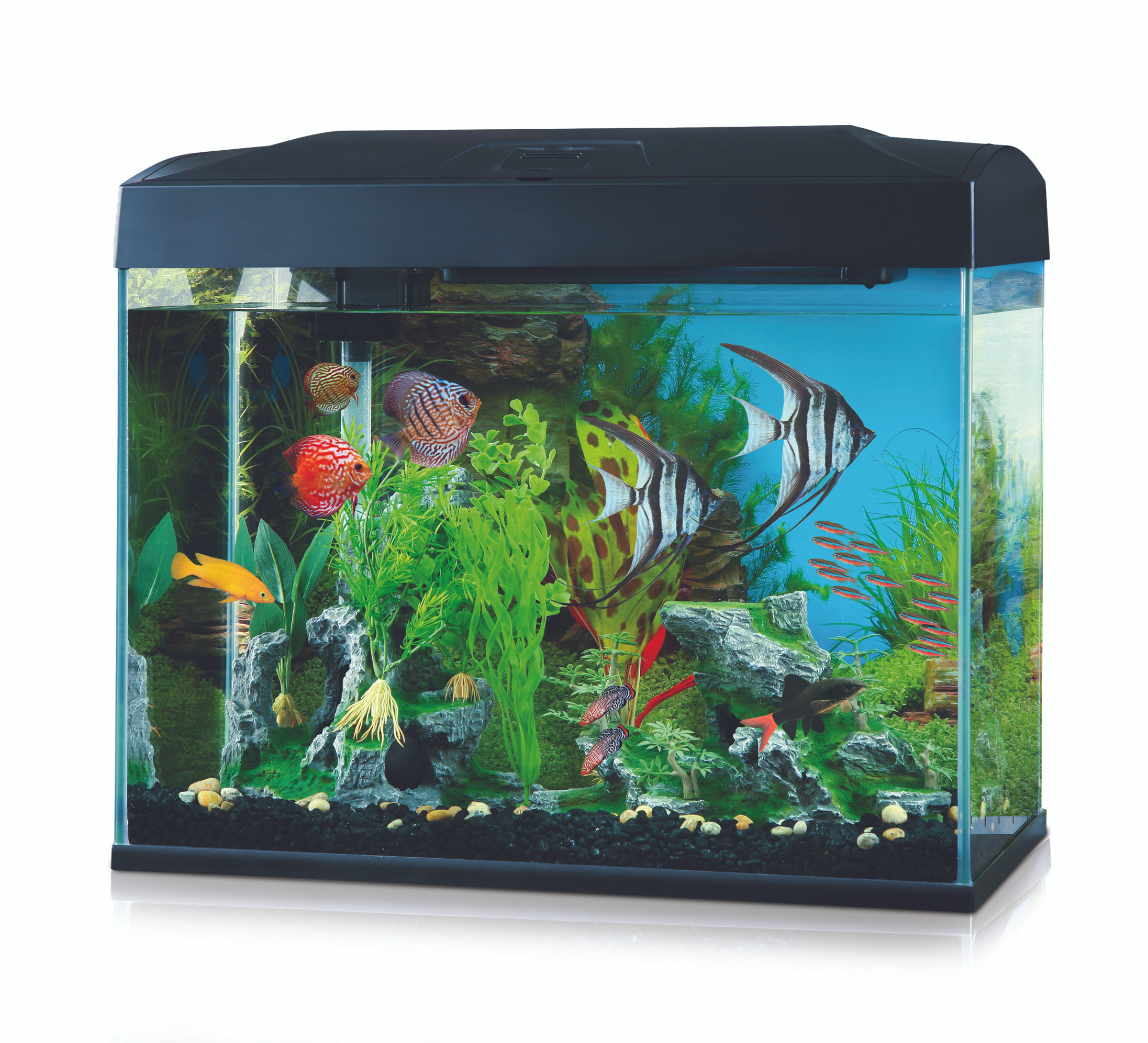 Aquatic - Blue Planet - Aquariums - Classic 70L - Aquarium Spare Parts