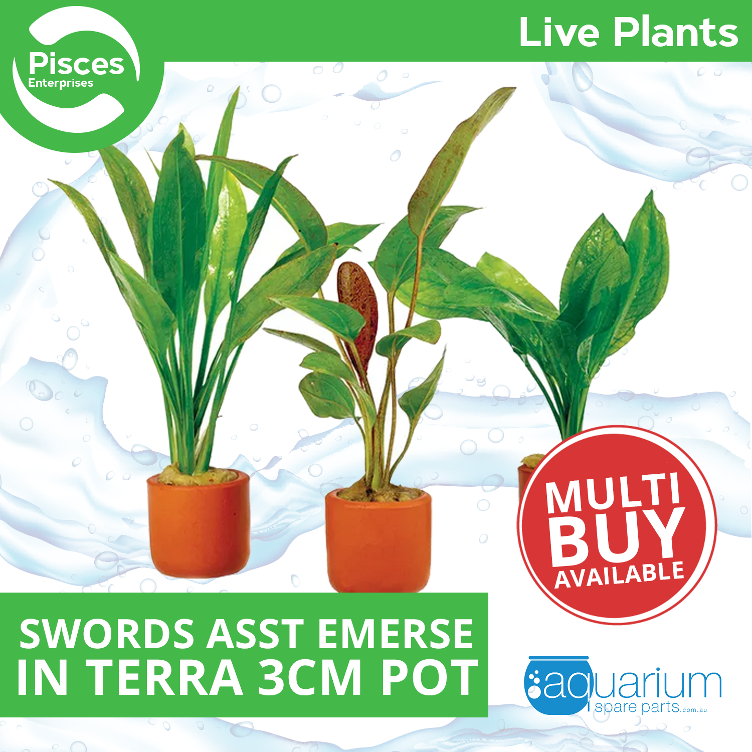 Live Plants
