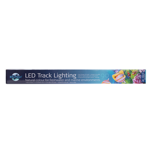 Lighting