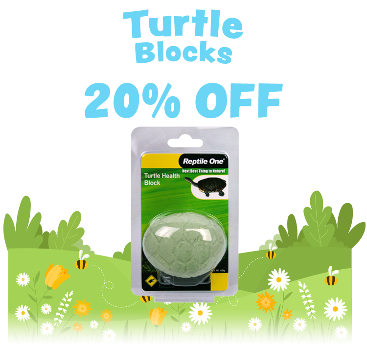 Spring Sale