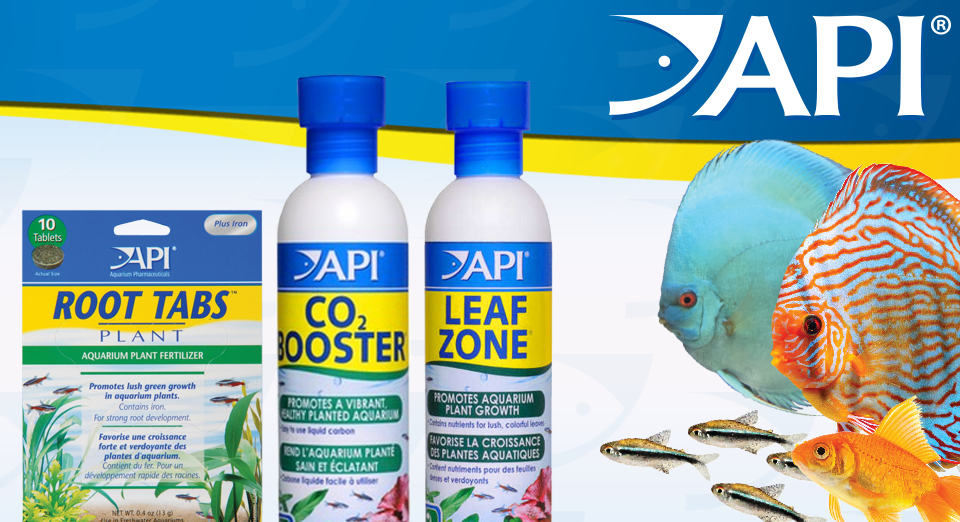 API Care Guide | Live Plant Care - Aquarium Spare Parts