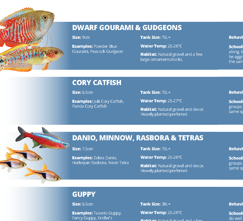 Community Fish Care - CARE GUIDE - Aquarium Spare Parts