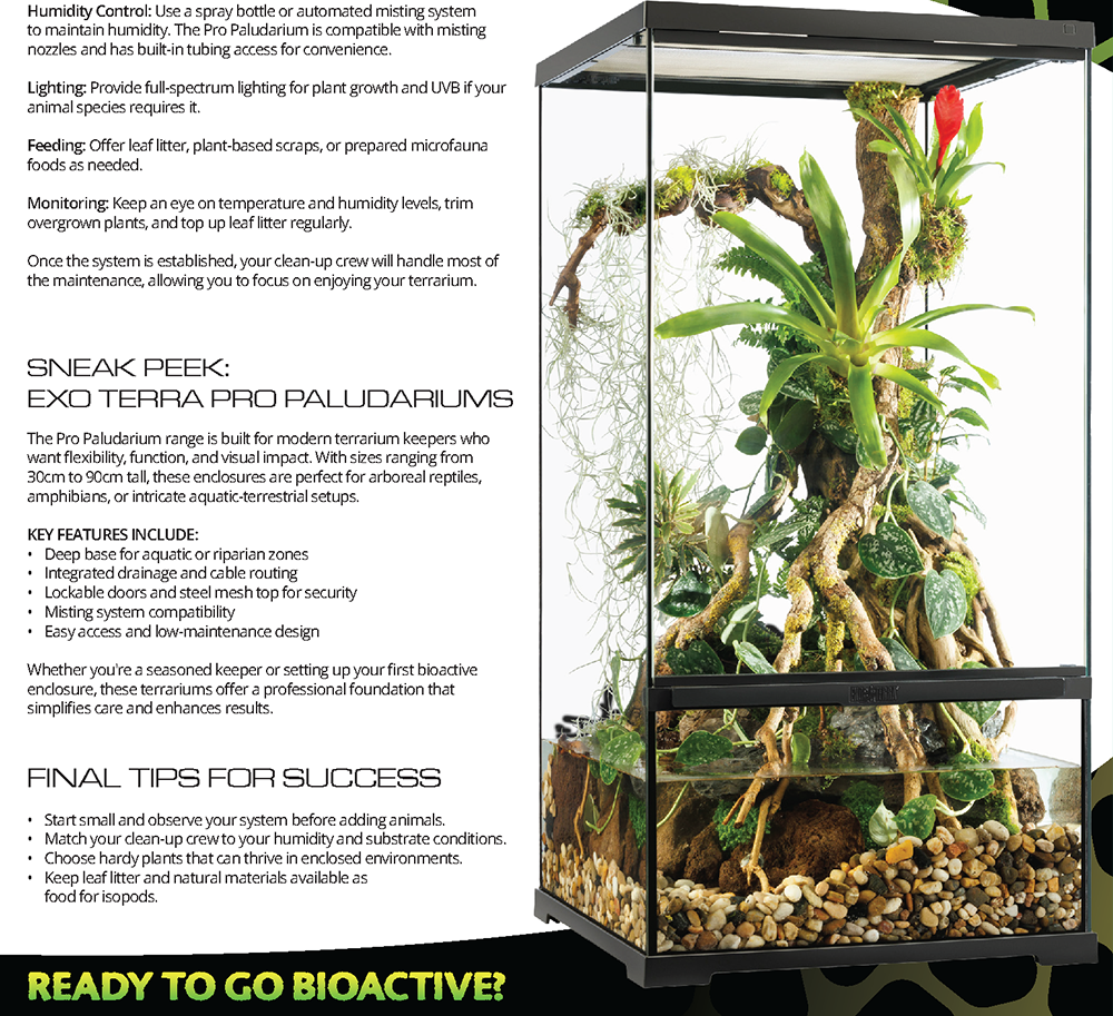 Exo Terra: Creating A Living Habitat - The Reptile Warehouse