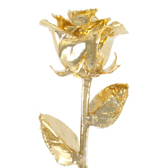 Collections - Gold Roses - RHHJ